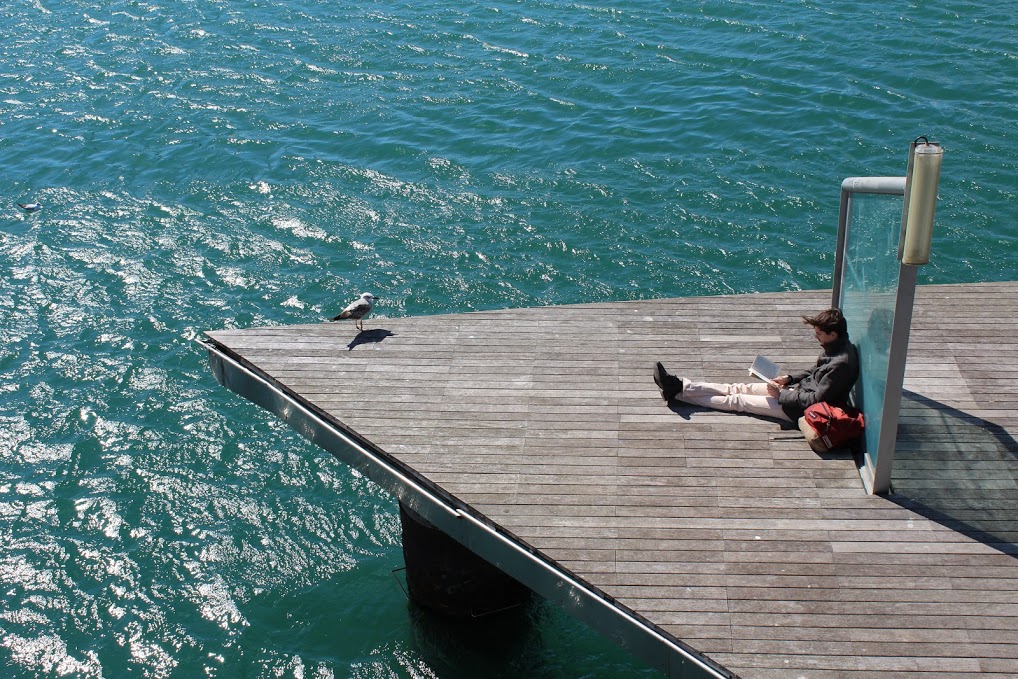 A Seagull and a Boy – LHS